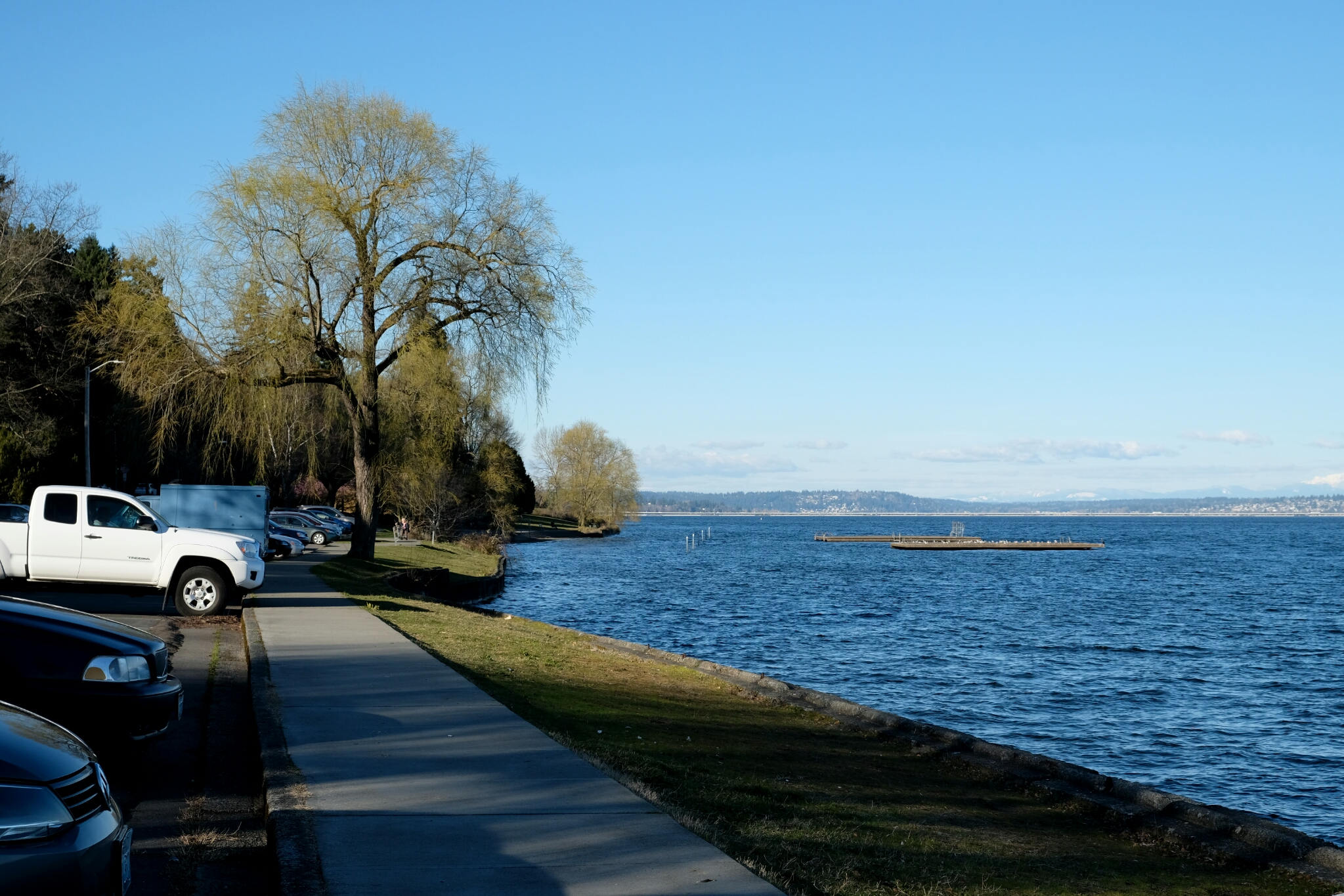 Madrona Park in Seattle | Park Preview