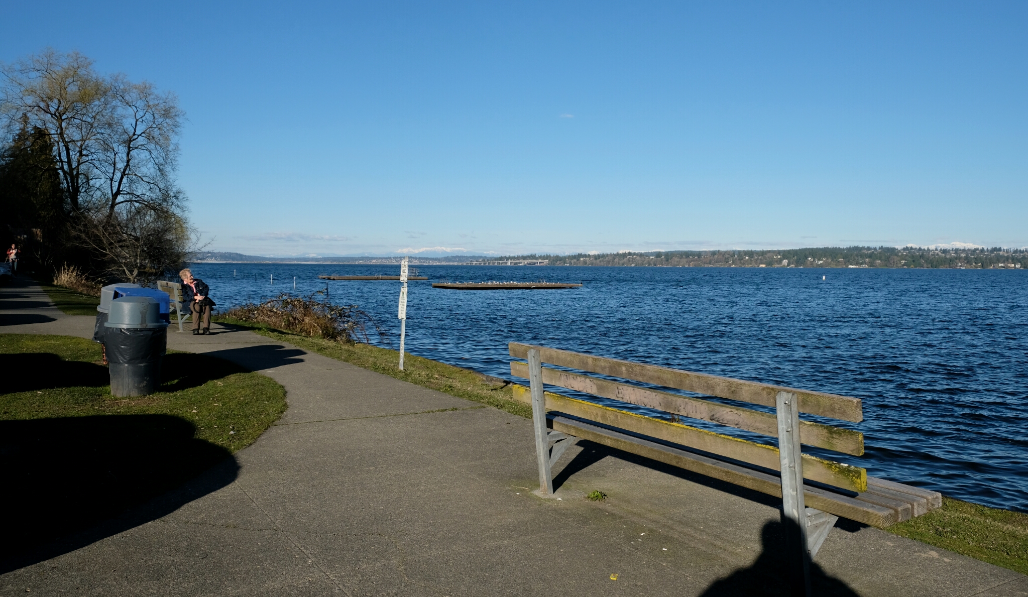 Madrona Park in Seattle | Park Preview