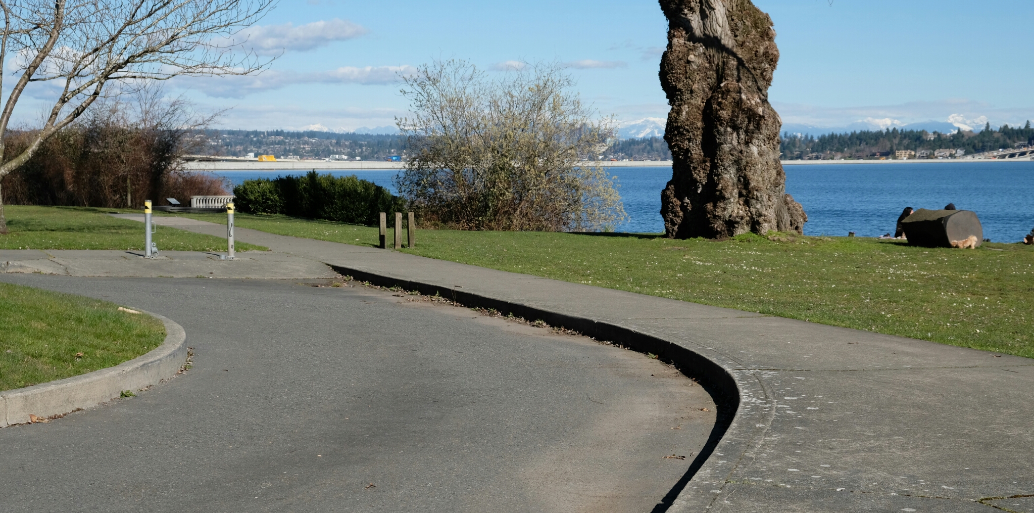 Colman Park in Seattle | Park Preview