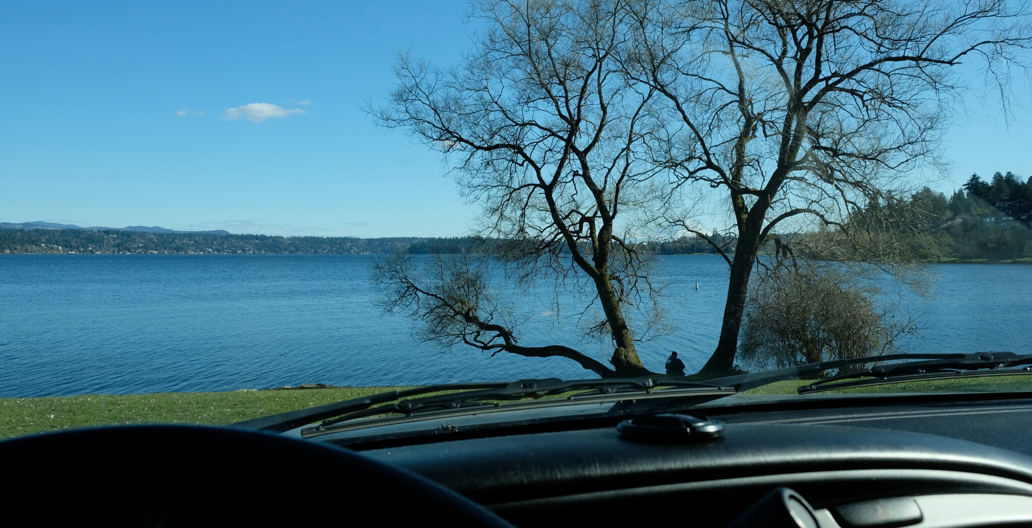 Colman Park in Seattle | Park Preview