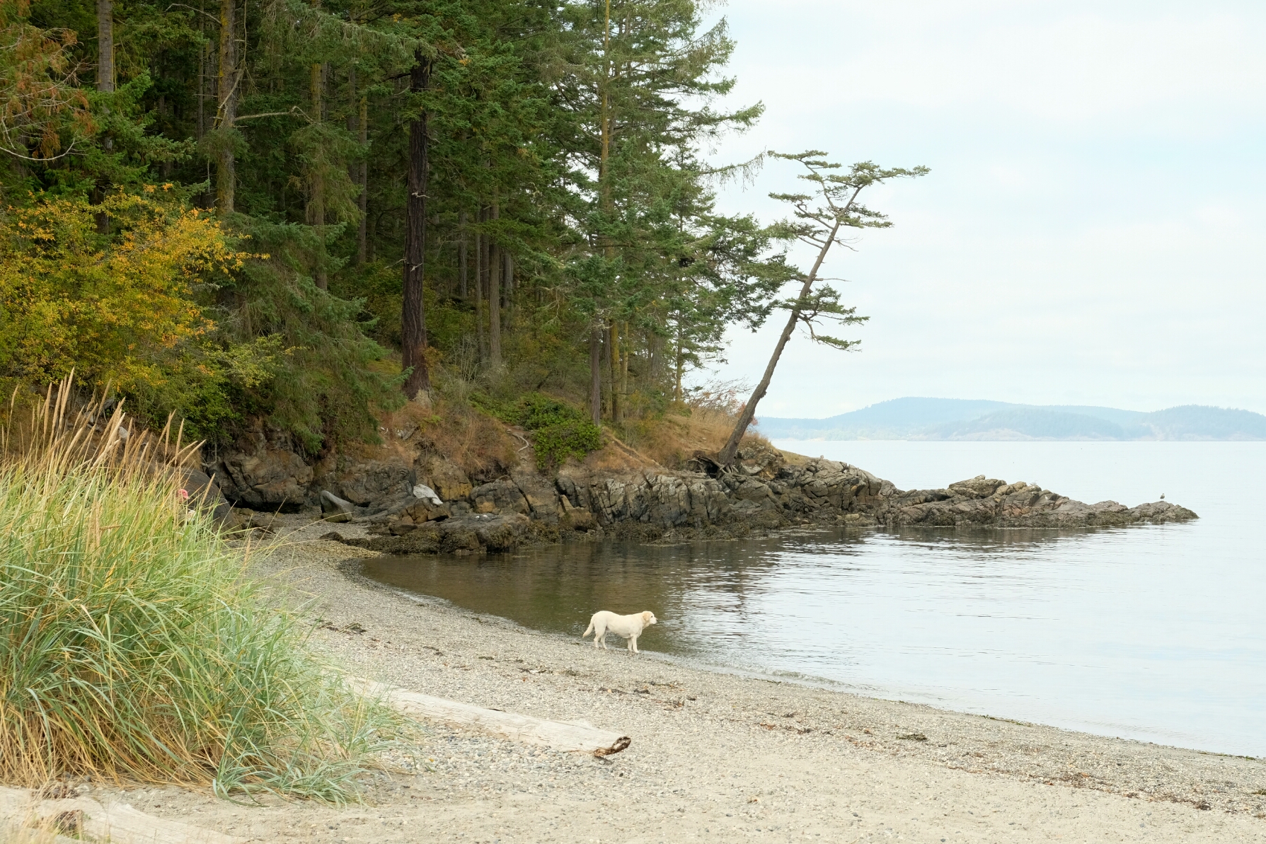 On the Road: Washington Park in Anacortes | Park Preview