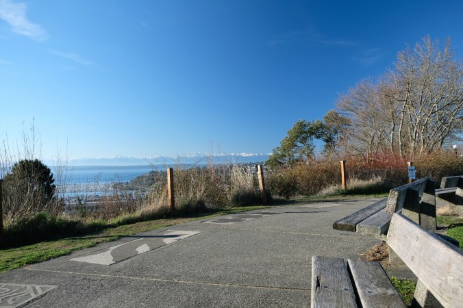 Viewpoint | Park Preview