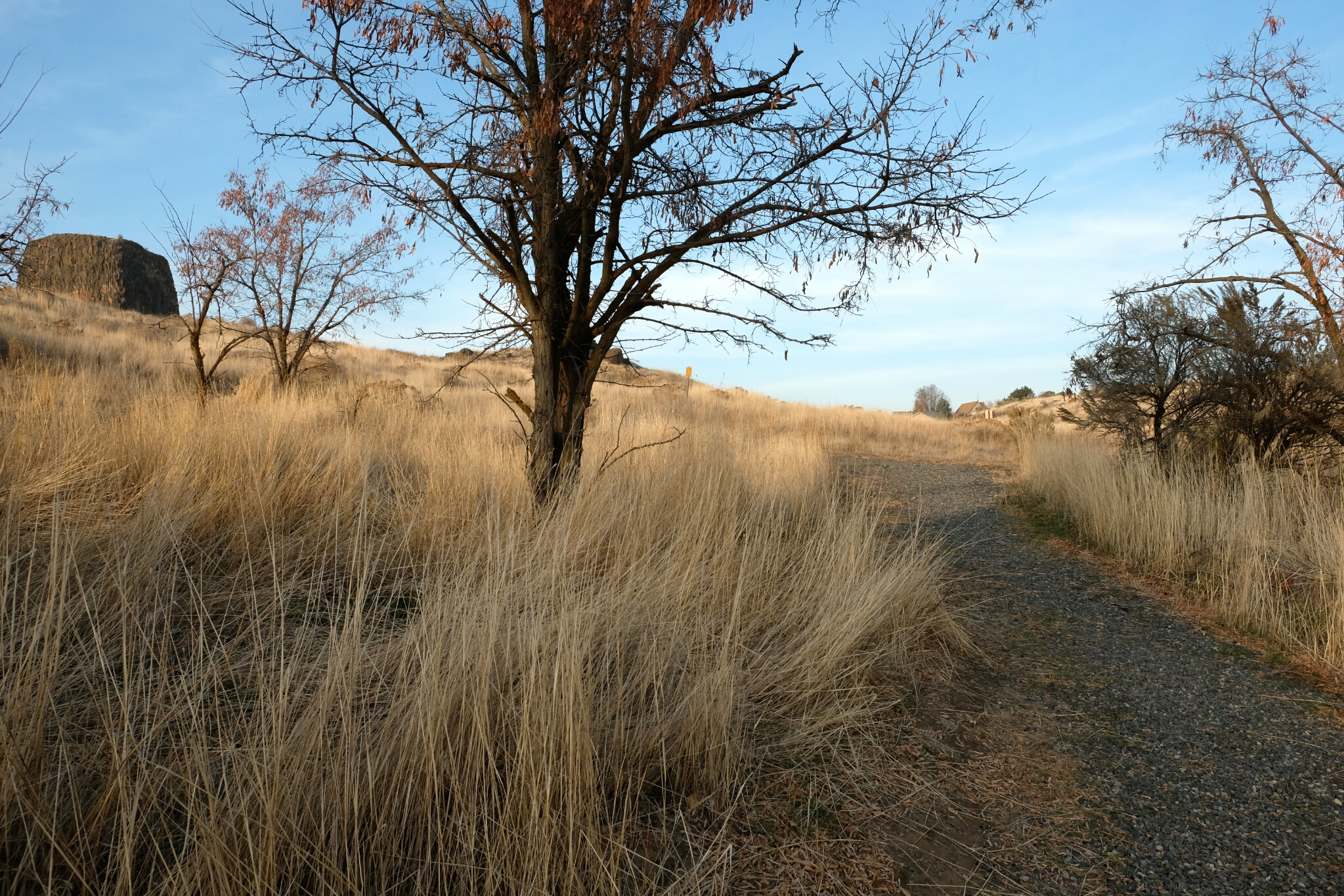 On the Road: Hat Rock State Park near Hermiston, Oregon | Park Preview